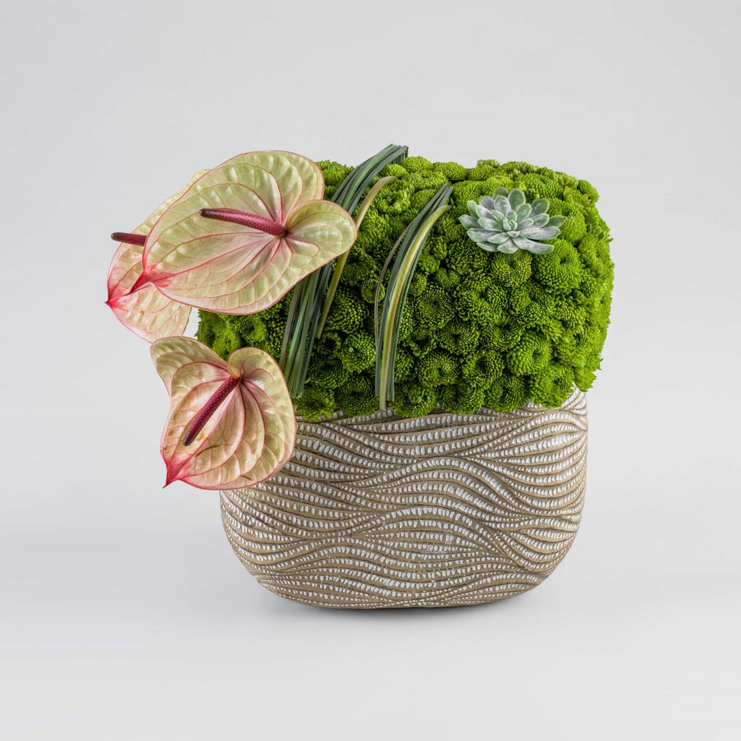 Alissar Flowers Amman | Exquisite Flowers, Plants & Floral Arrangement