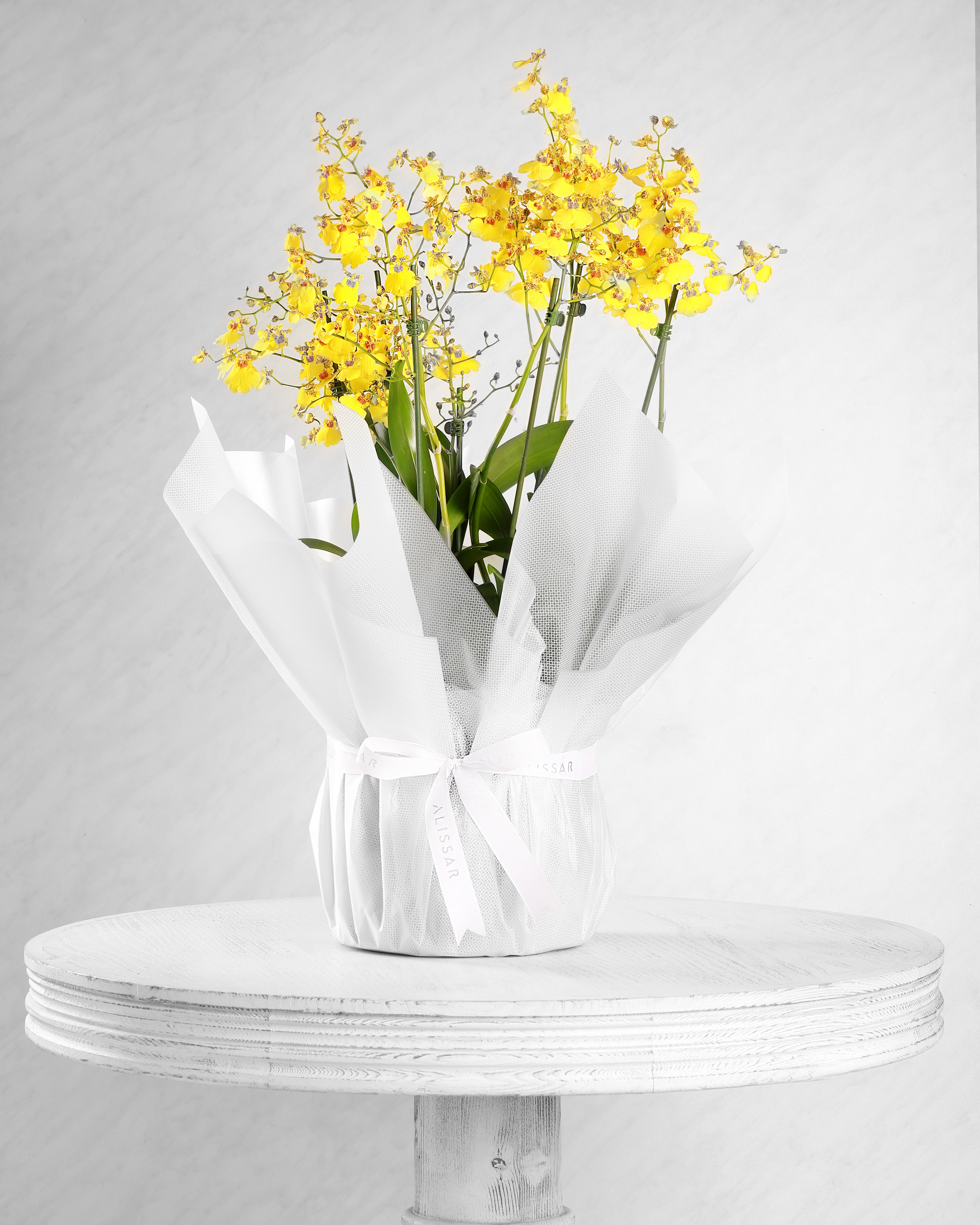 Alissar Flowers Amman | Exquisite Flowers, Plants & Floral Arrangement