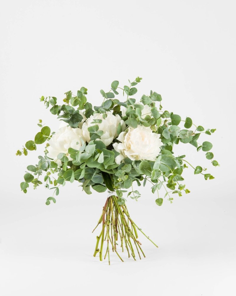 Alissar Flowers Amman | Exquisite Flowers, Plants & Floral Arrangement