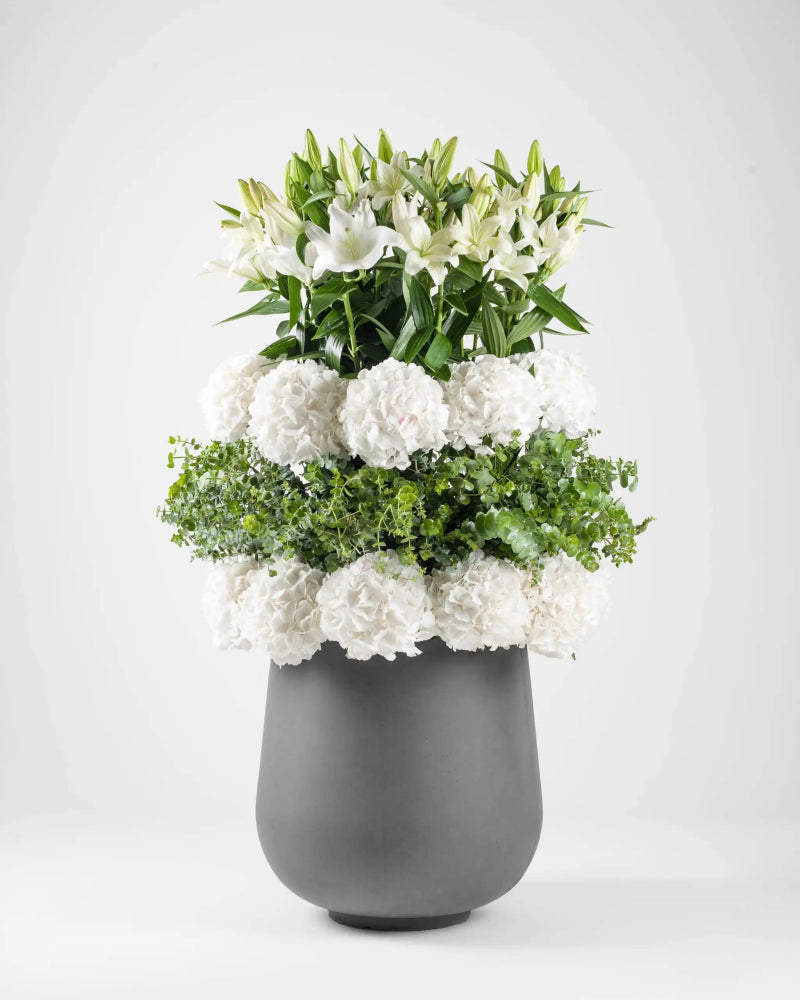 Alissar Flowers Amman | Exquisite Flowers, Plants & Floral Arrangement