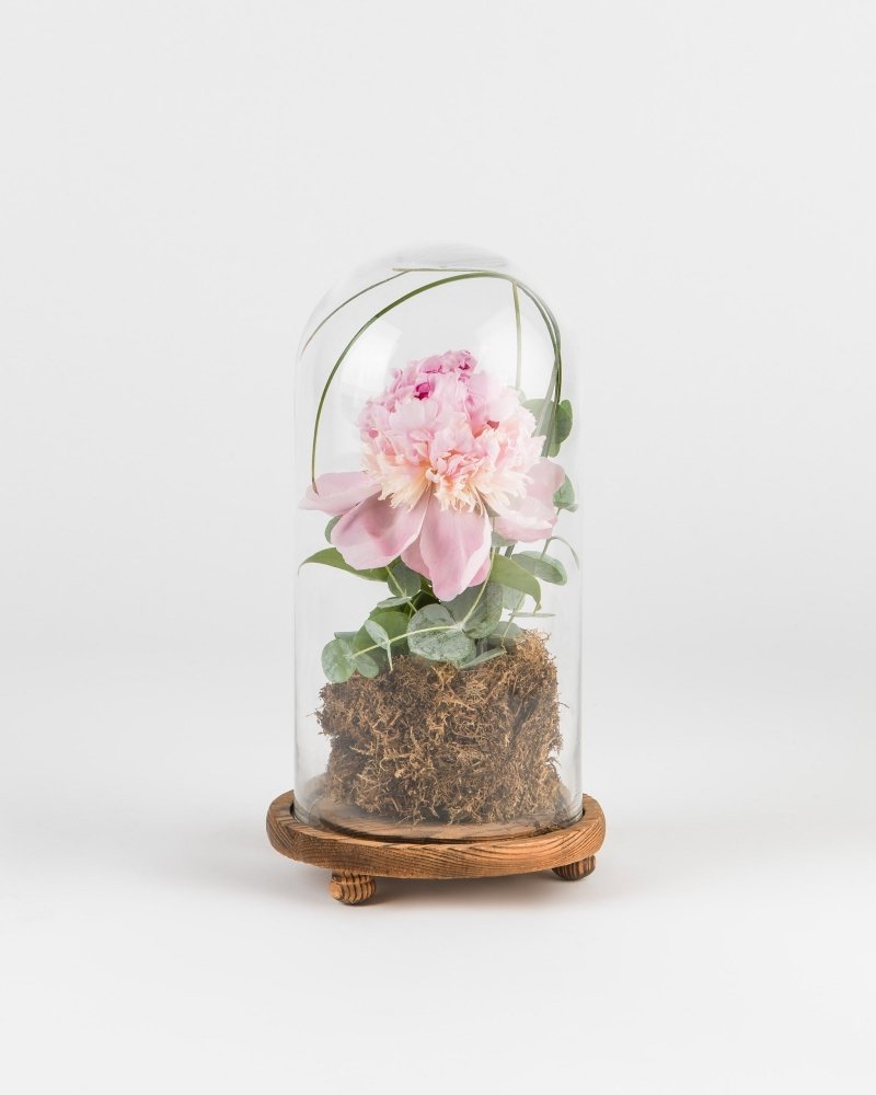 Alissar Flowers Amman | Exquisite Flowers, Plants & Floral Arrangement