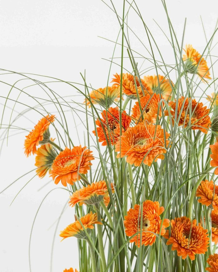 Alissar Flowers Amman | Exquisite Flowers, Plants & Floral Arrangement